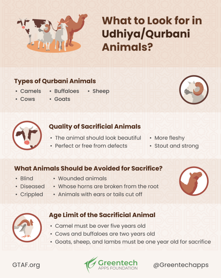 What is Qurbani: Know the Qurbani Basics, Virtues & Rules | Greentech Apps Foundation